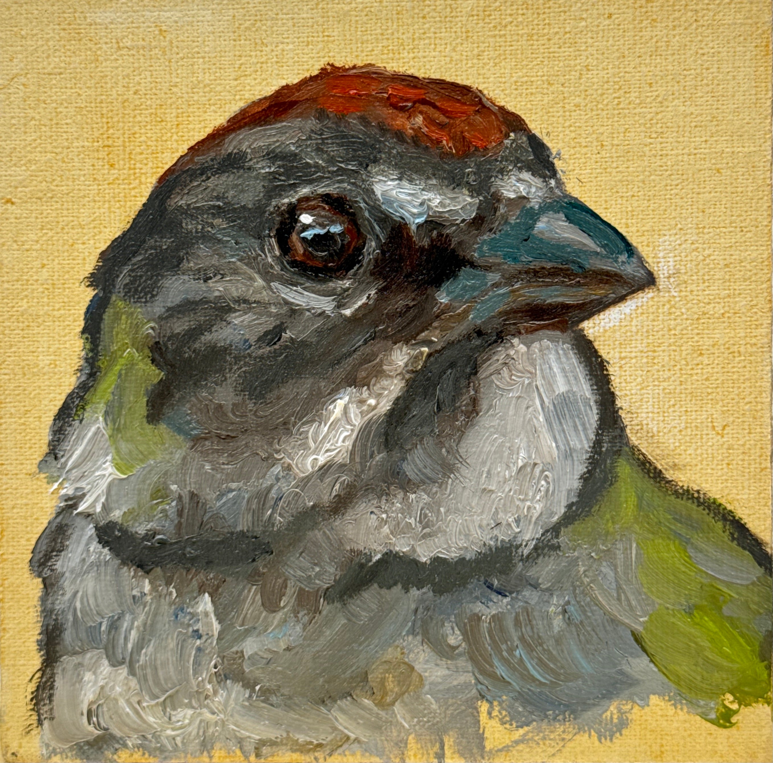 Art of Migration • Patricia Halsell | Green-tailed Towhee – Smith and Vallee Gallery