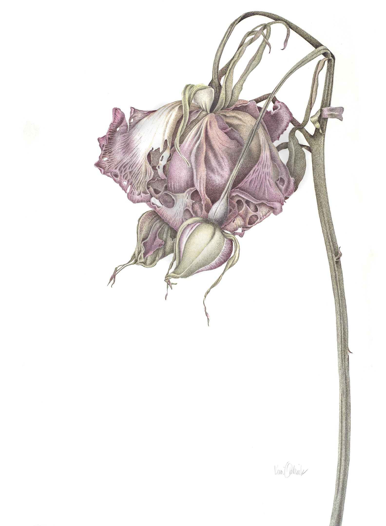 KIM OBBINK | ANN MORRIS – Smith and Vallee Gallery