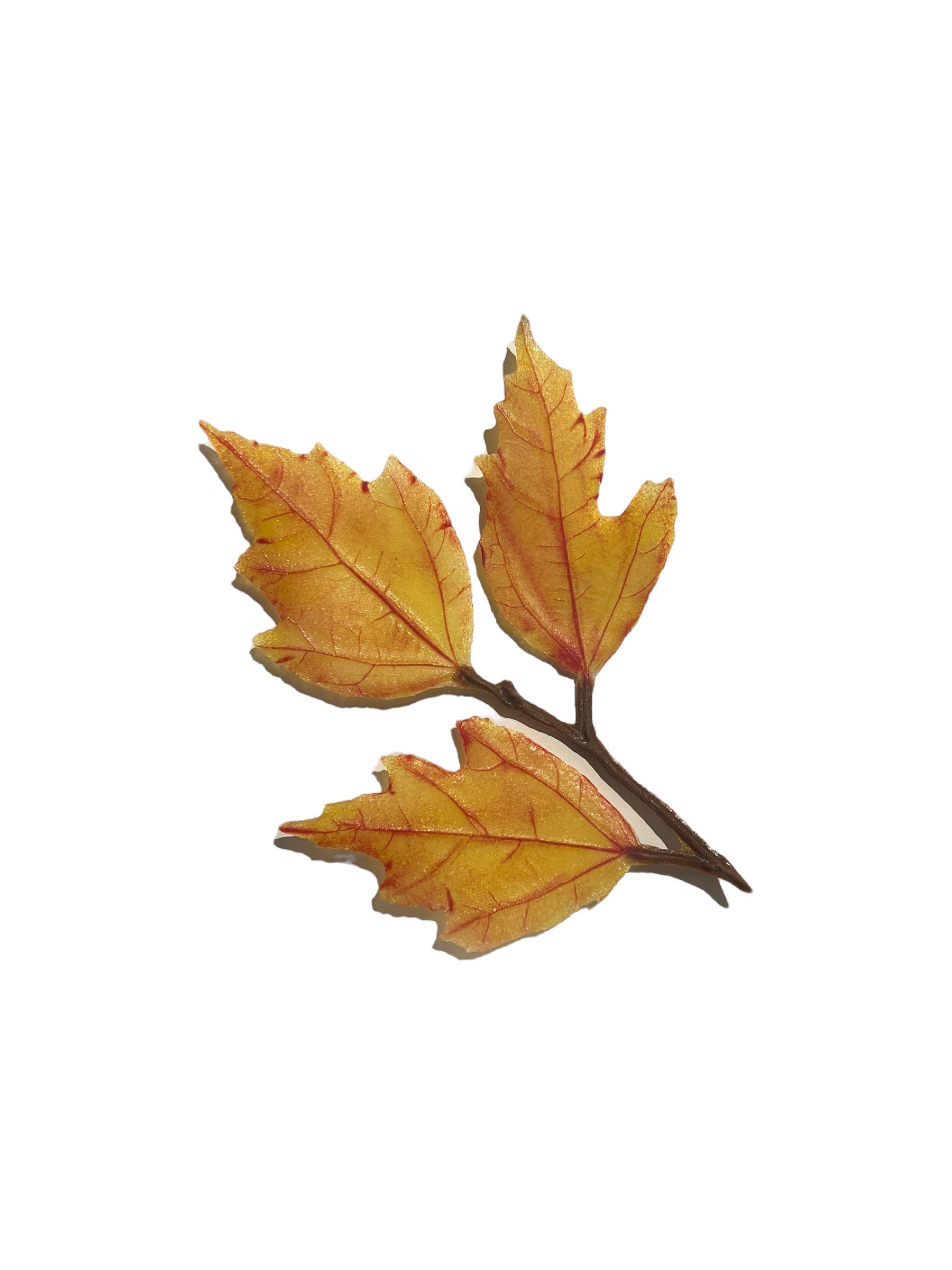 Jen Fuller • Hibiscus – Smith and Vallee Gallery