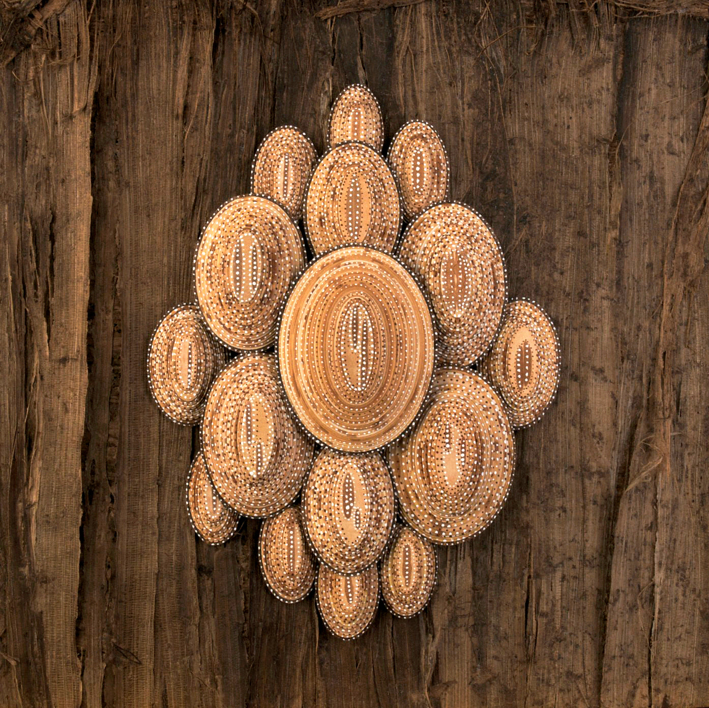 Aaron McKnight • Sown Seeds – Smith and Vallee Gallery